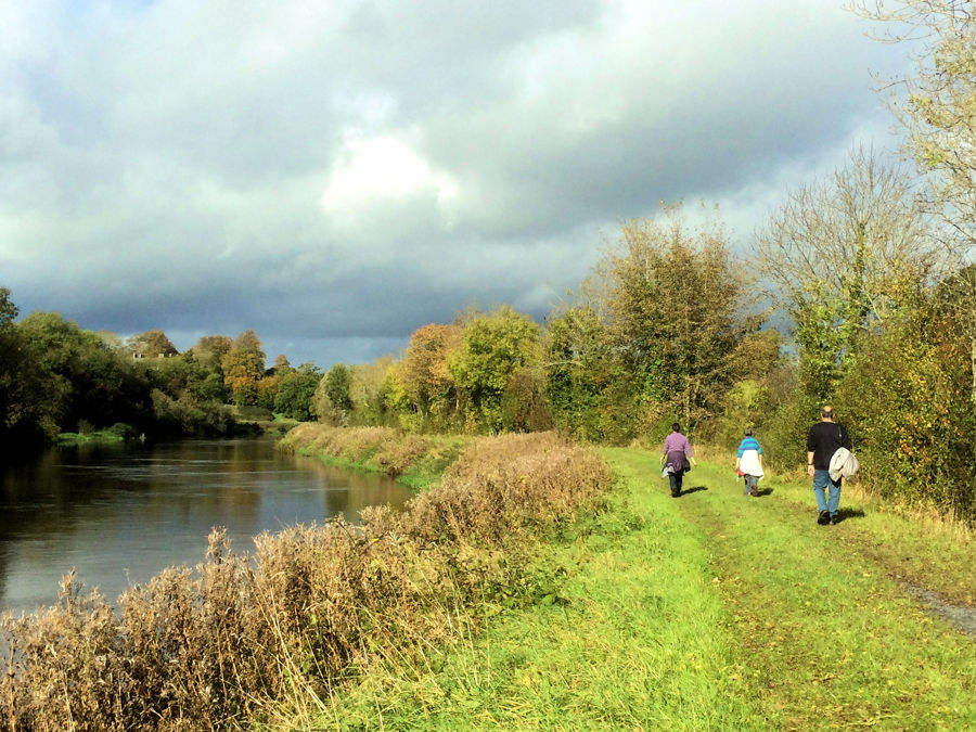 The Barrow River at Ballytigelea - Wild Ireland Tour